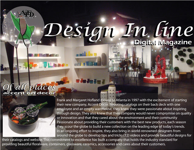 Design in Line - Accent Decor Blog