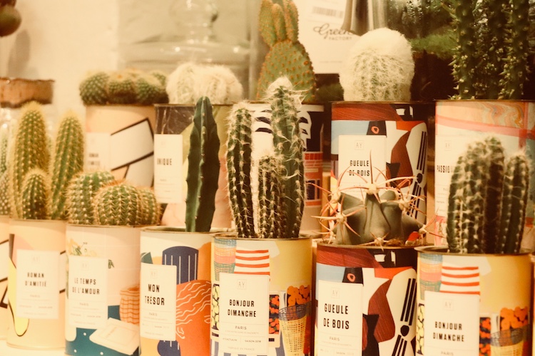 Maison + Objet - Accent Decor Blog