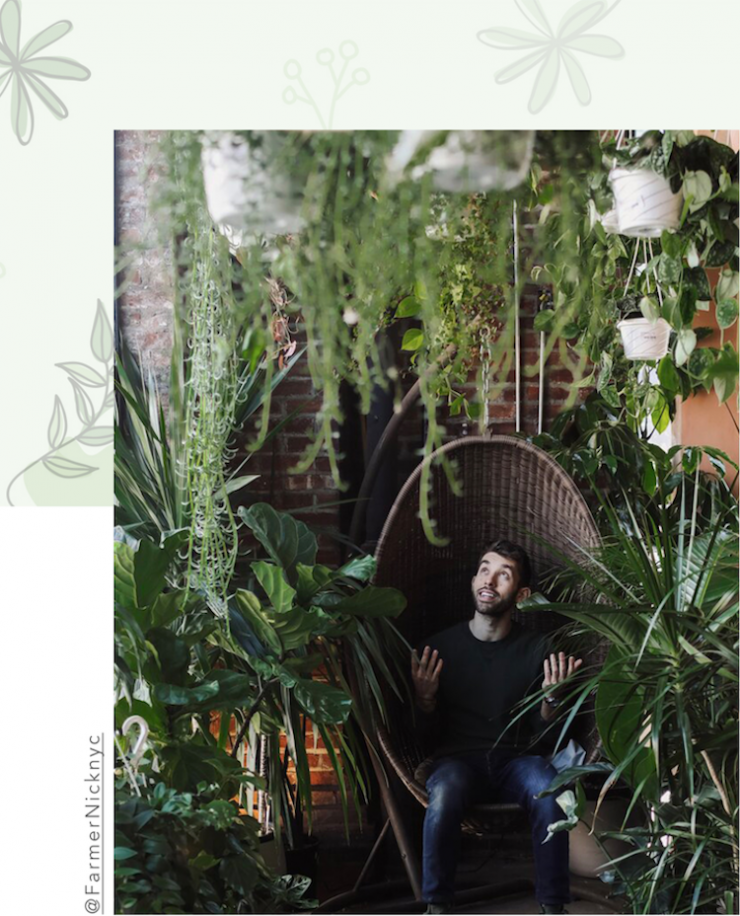 Farmer Nick’s Picks - Accent Decor Blog