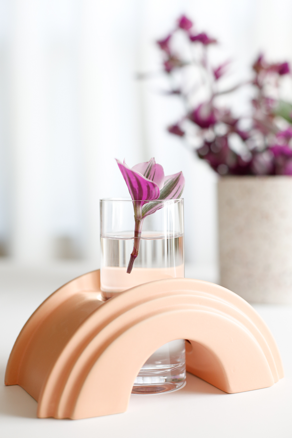 Expert Propagation Tips with Danae Horst | Accent Decor Blog