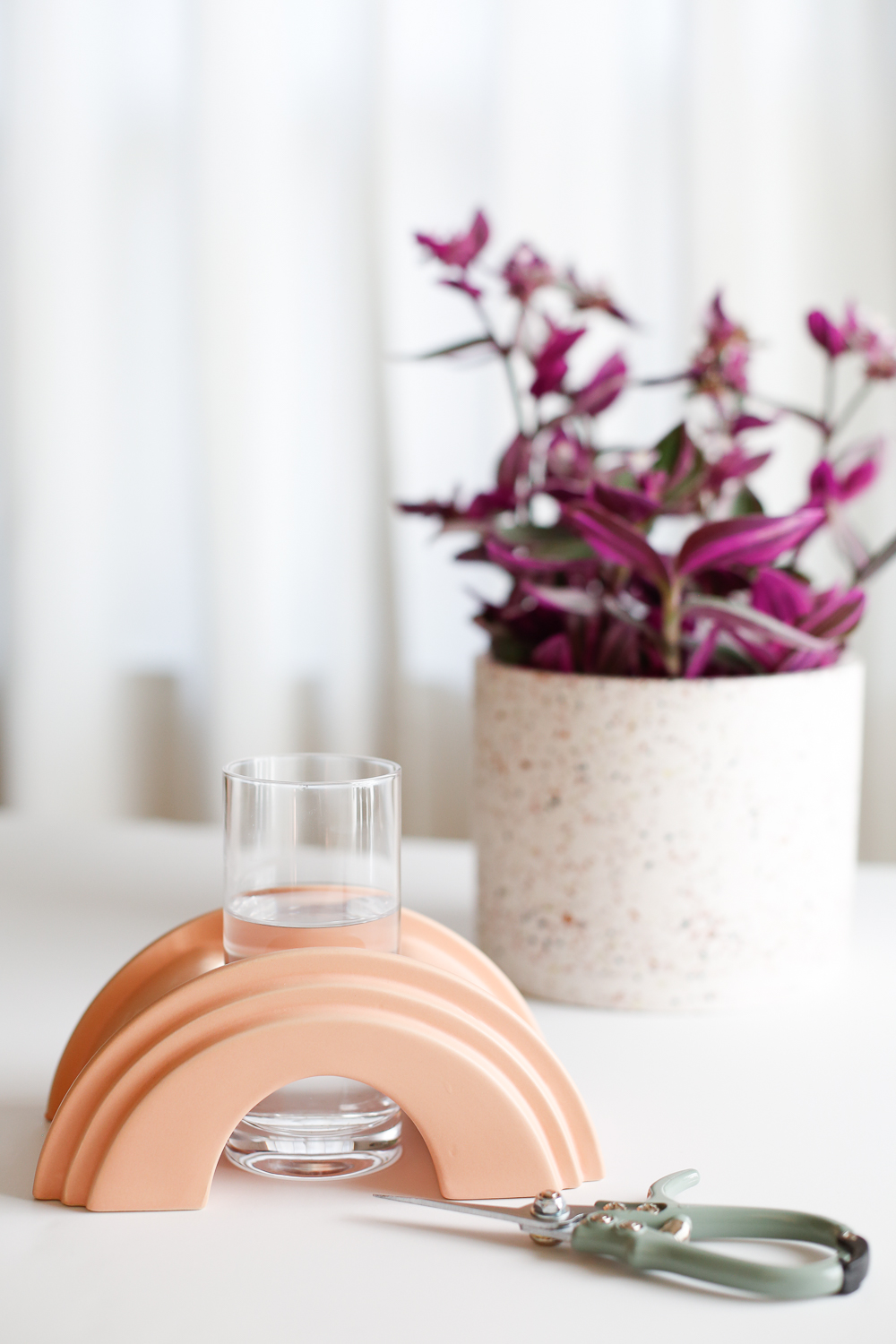 Expert Propagation Tips with Danae Horst | Accent Decor Blog