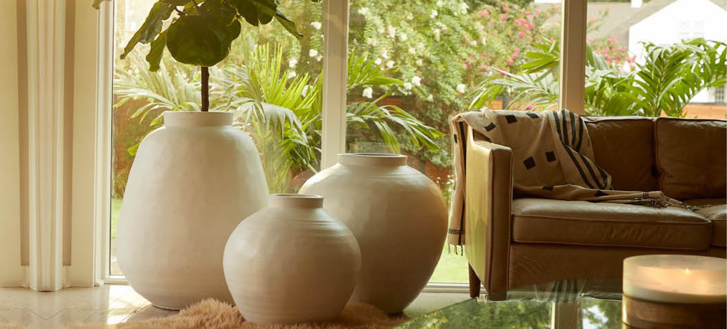 Plant Decor Tips for Interior Design Clients | Accent Decor Blog