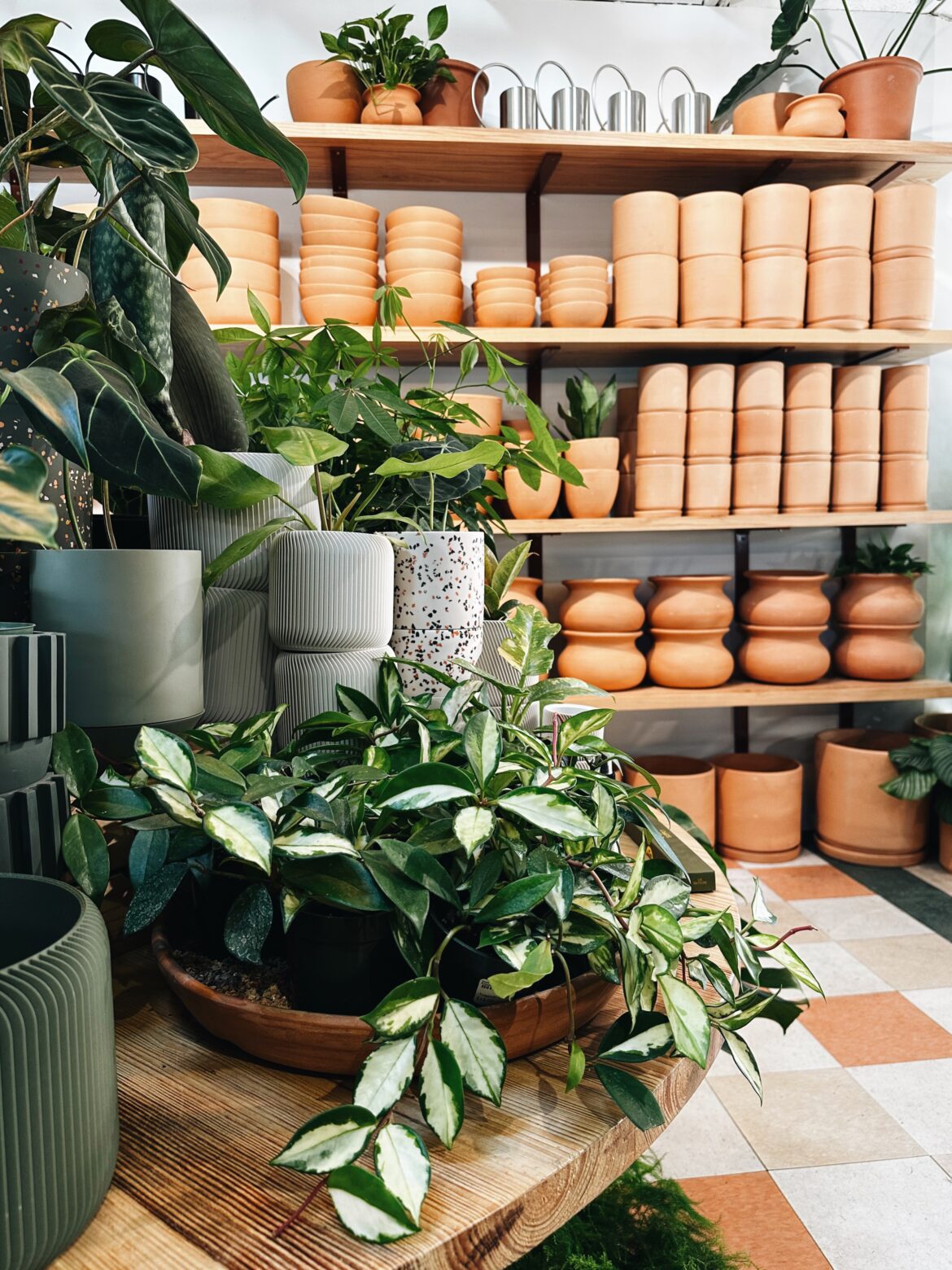 The Art of Color Blocking in Plant Shops | Wholesale Decor Blog