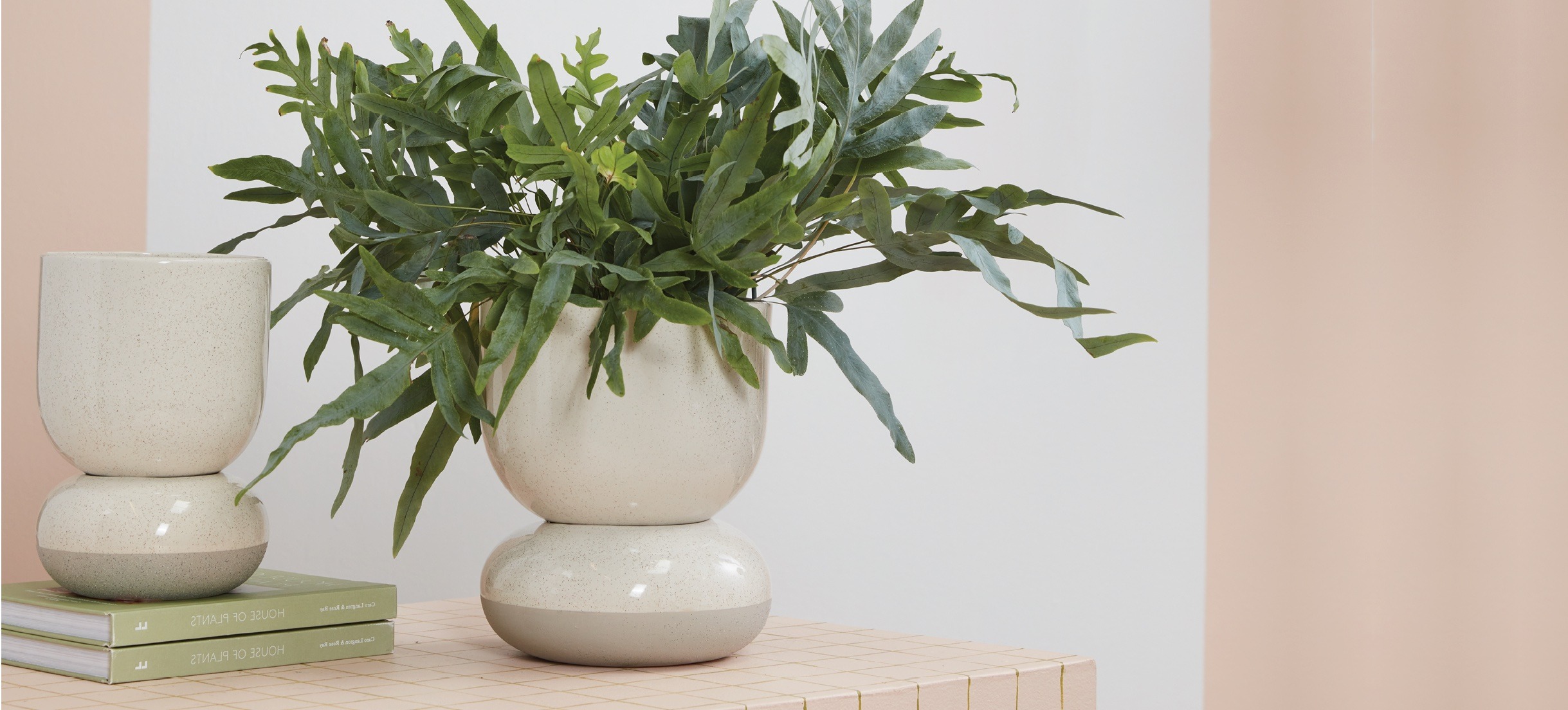 Self-Watering Planters | Plant Talk with Danae Horst