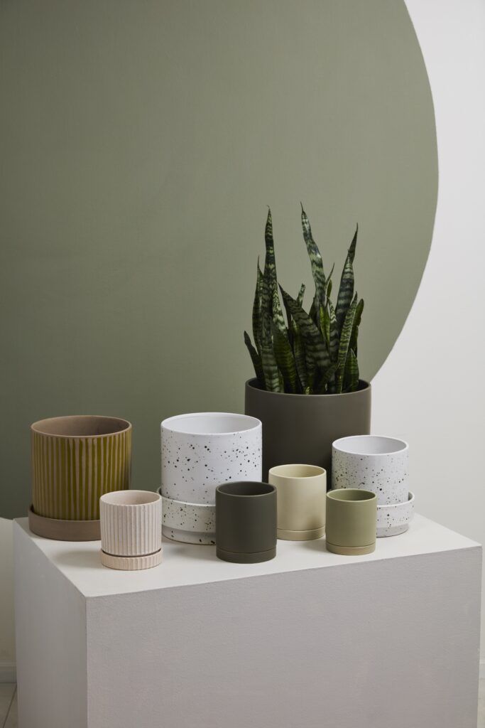 New Expansion: Best-Selling Pots & Planters | Accent Decor Blog