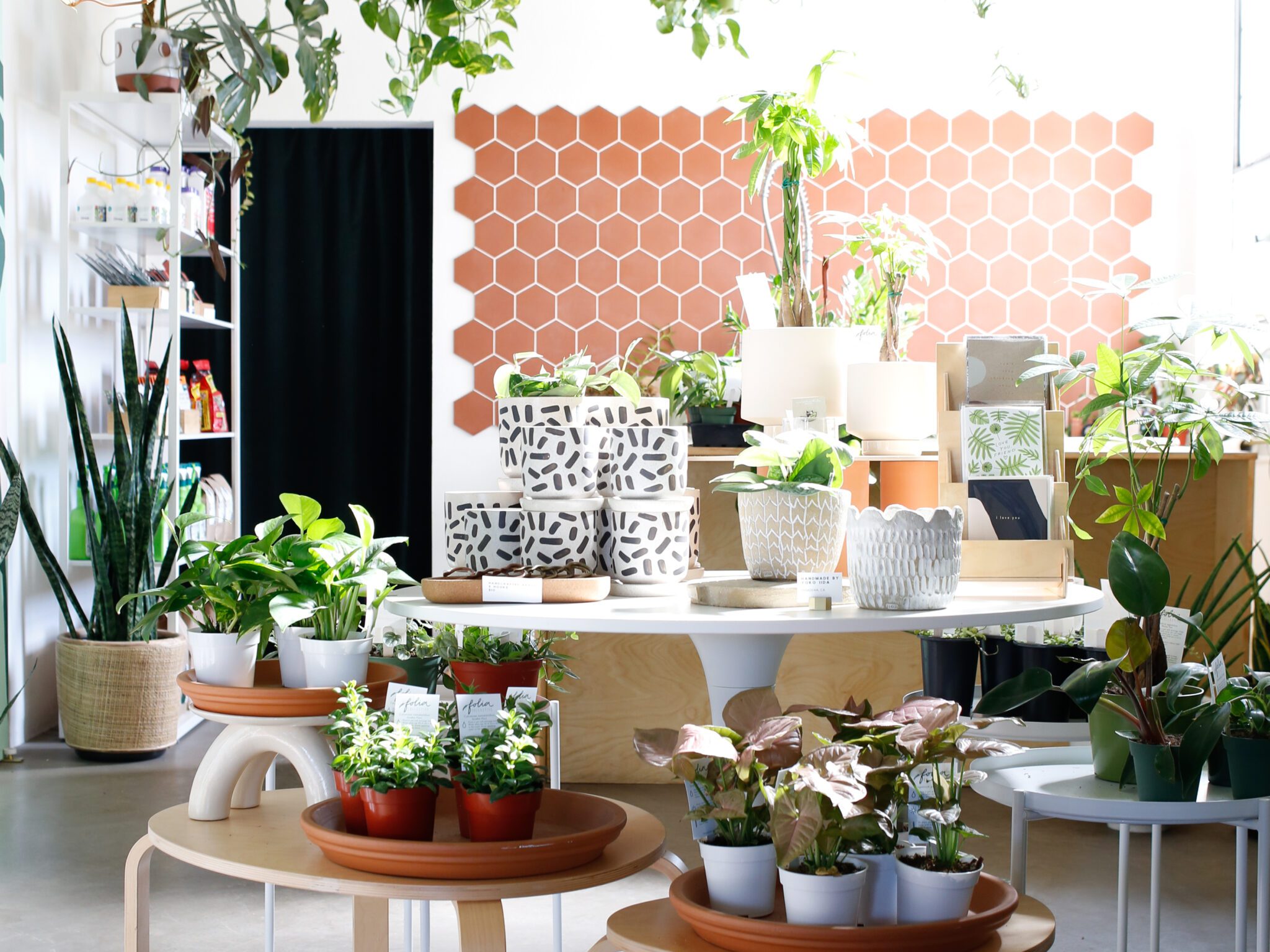 How to Start a Plant Shop with Danae Horst | Accent Decor Blog