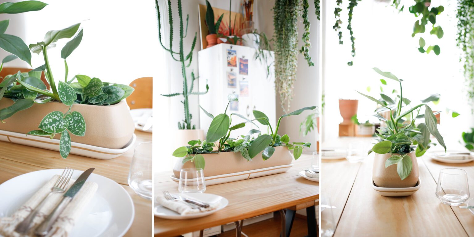 How to Use Trough-Style Planters with Danae Horst | Accent Decor Blog
