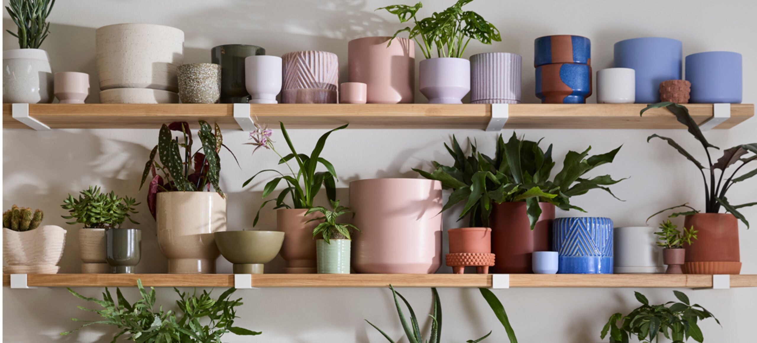 2025 Planter & Pot Trends | Accent Decor Blog