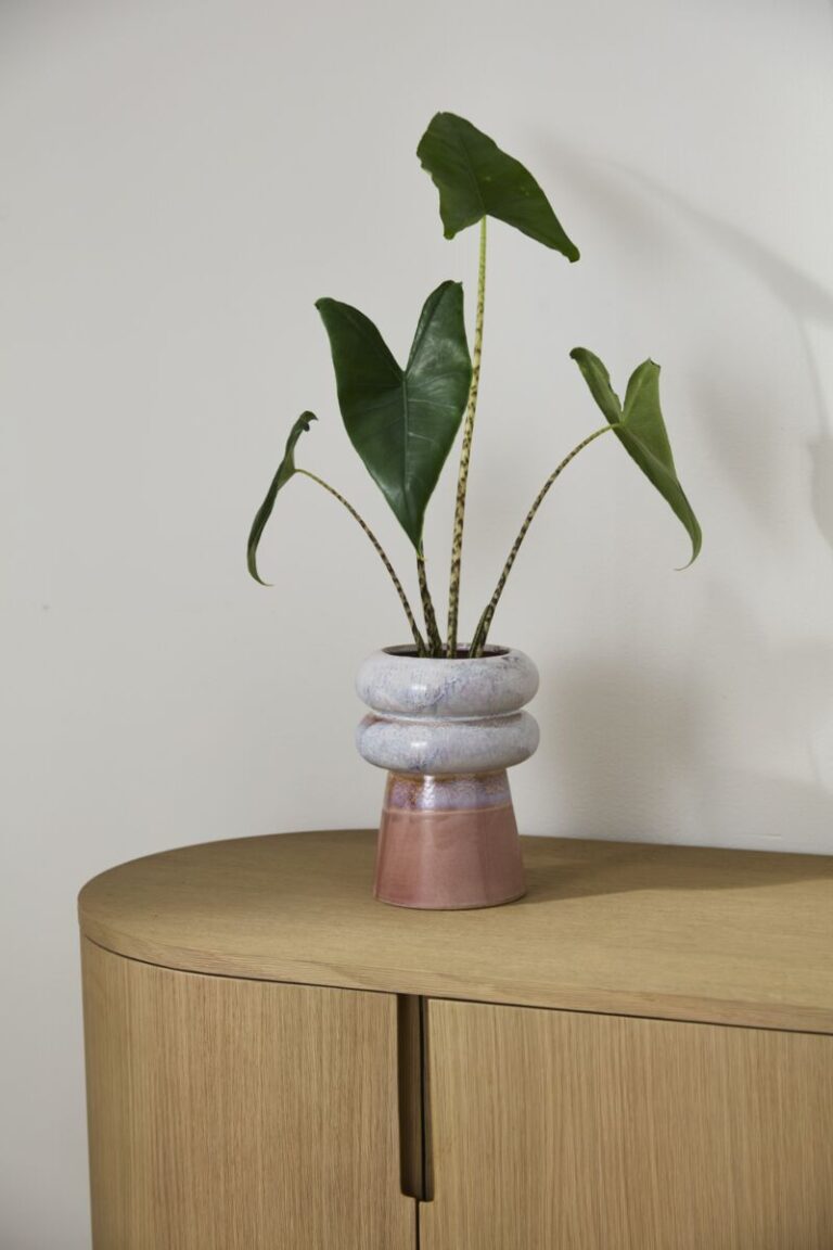 2025 Planter & Pot Trends | Accent Decor Blog