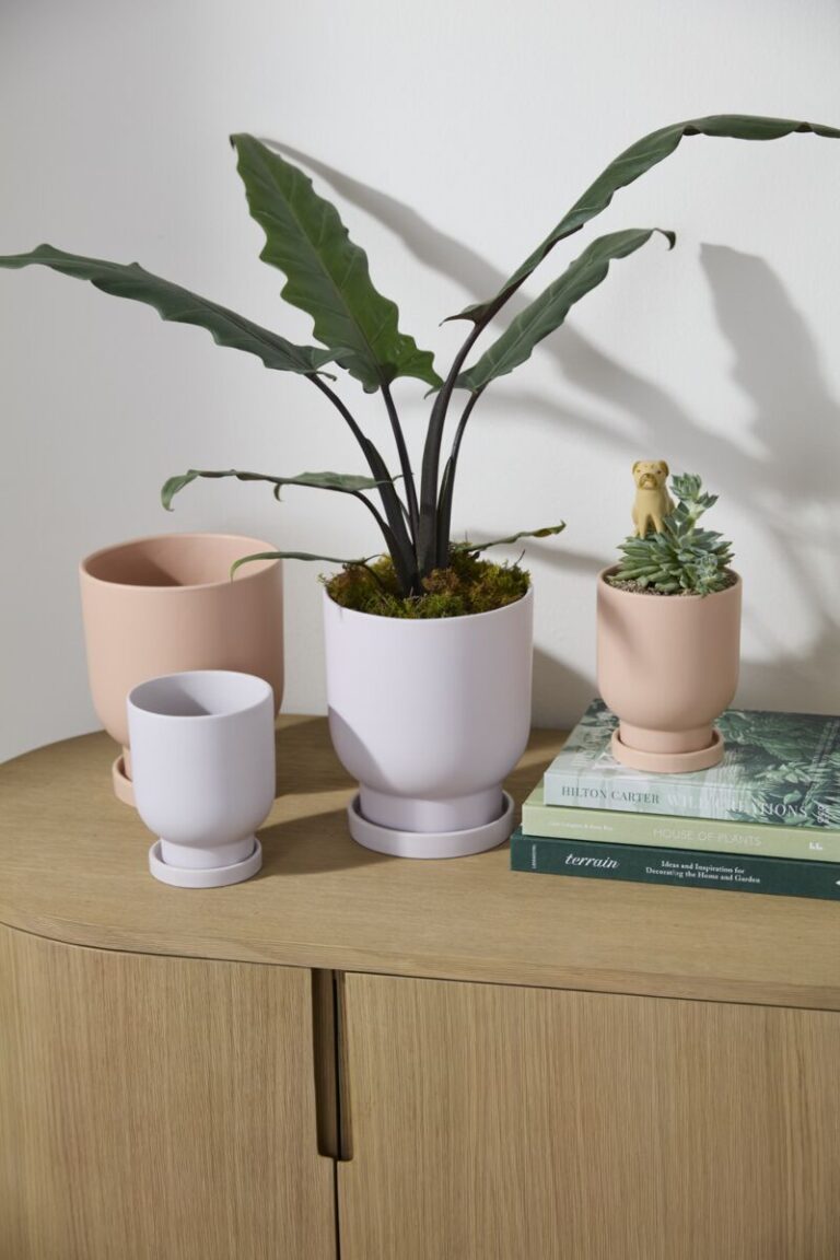 2025 Planter & Pot Trends | Accent Decor Blog