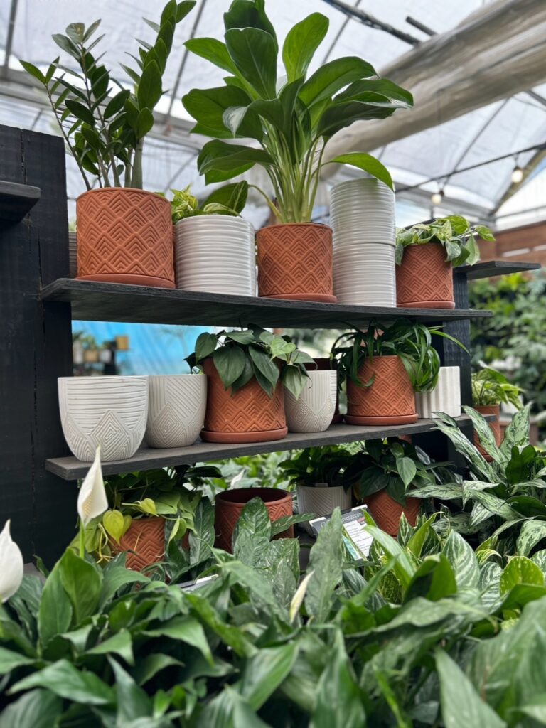 Customer Spotlight on Abide A While | Accent Decor Blog