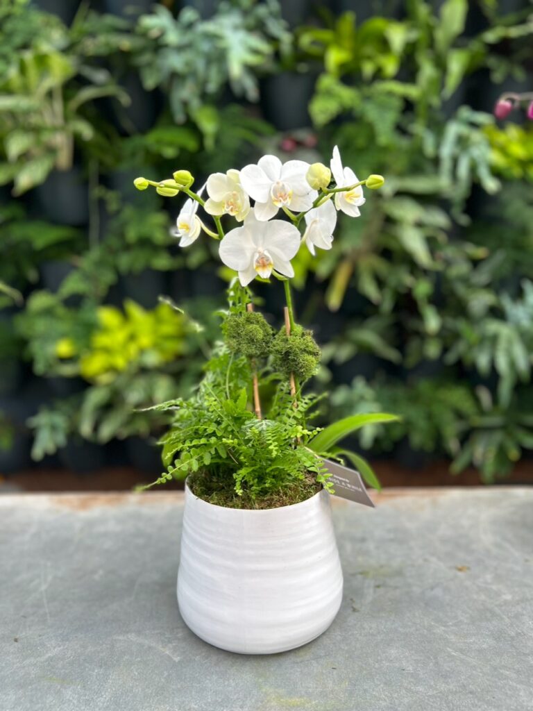 Customer Spotlight on Abide A While | Accent Decor Blog
