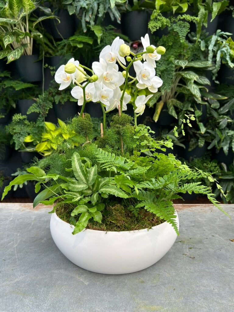 Customer Spotlight on Abide A While | Accent Decor Blog