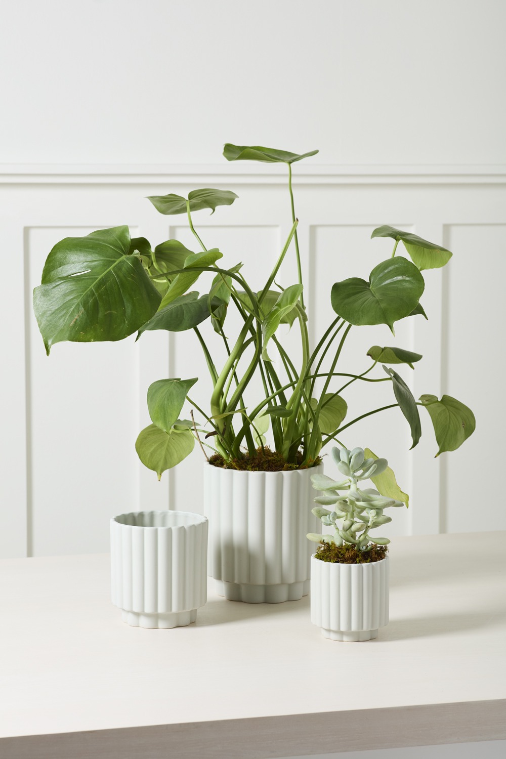 The Core Pot Collection: The Foundation of Your Retail Success