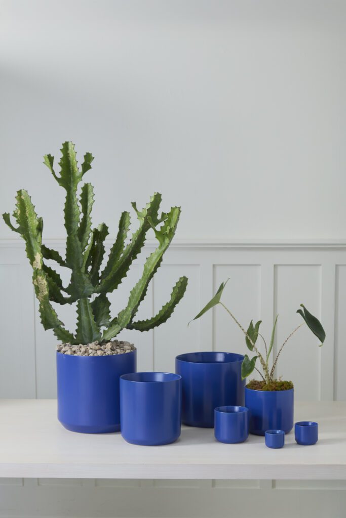 The Core Pot Collection: The Foundation of Your Retail Success