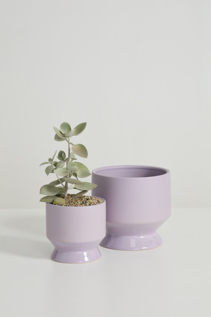 The Core Pot Collection: The Foundation of Your Retail Success