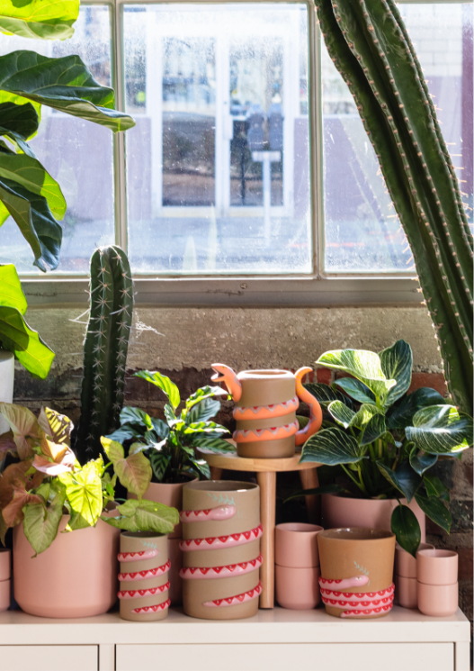 Plantshop Vibes | Accent Decor